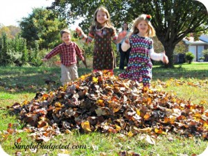 Fall Time: Playing in the Leaves